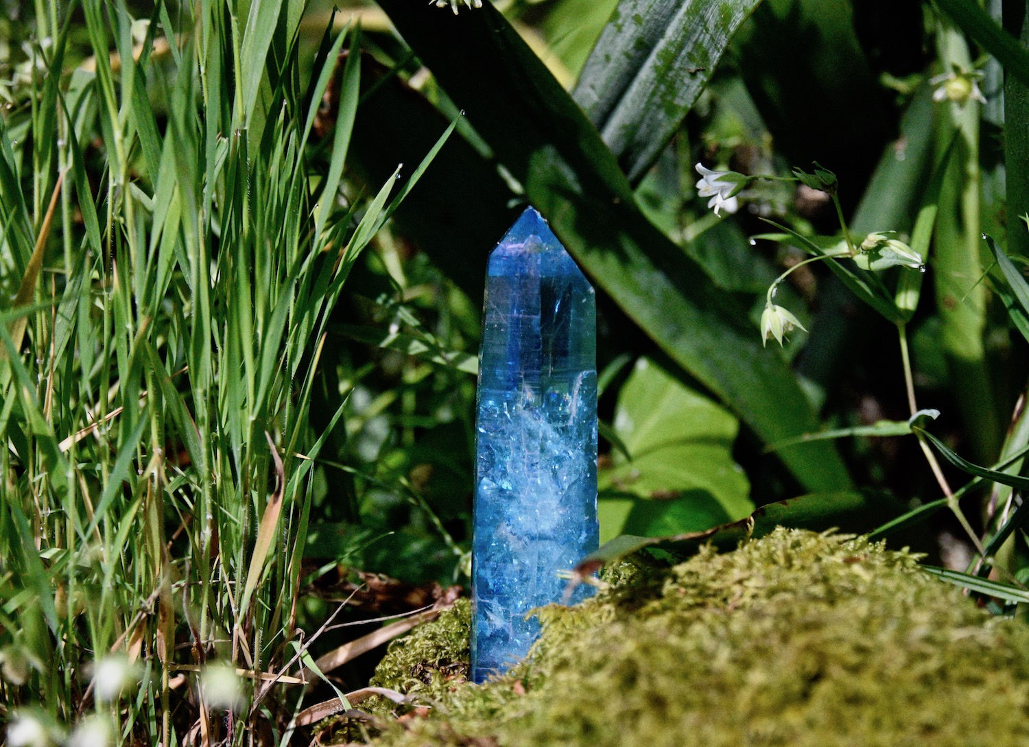 The Approach of the Christ | Inlumino Global